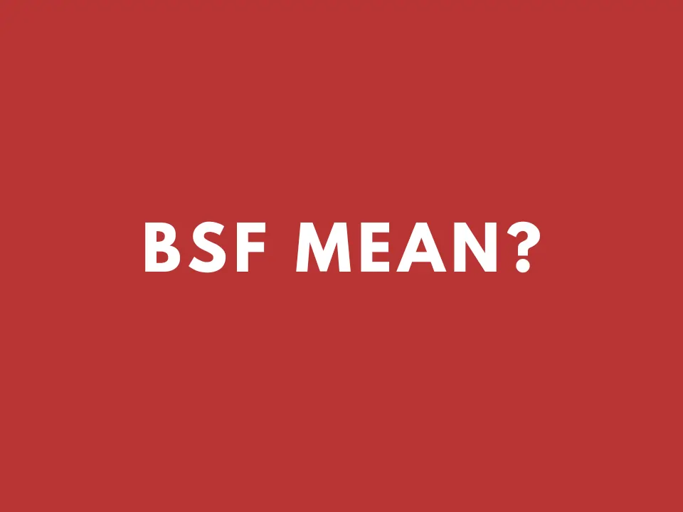 What Does BSF Mean In Texting With Examples Slang Sense